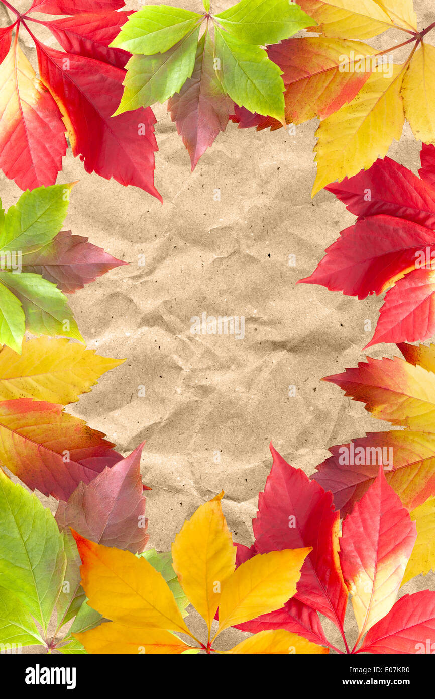 Autumn leaf frame on paper Stock Photo - Alamy