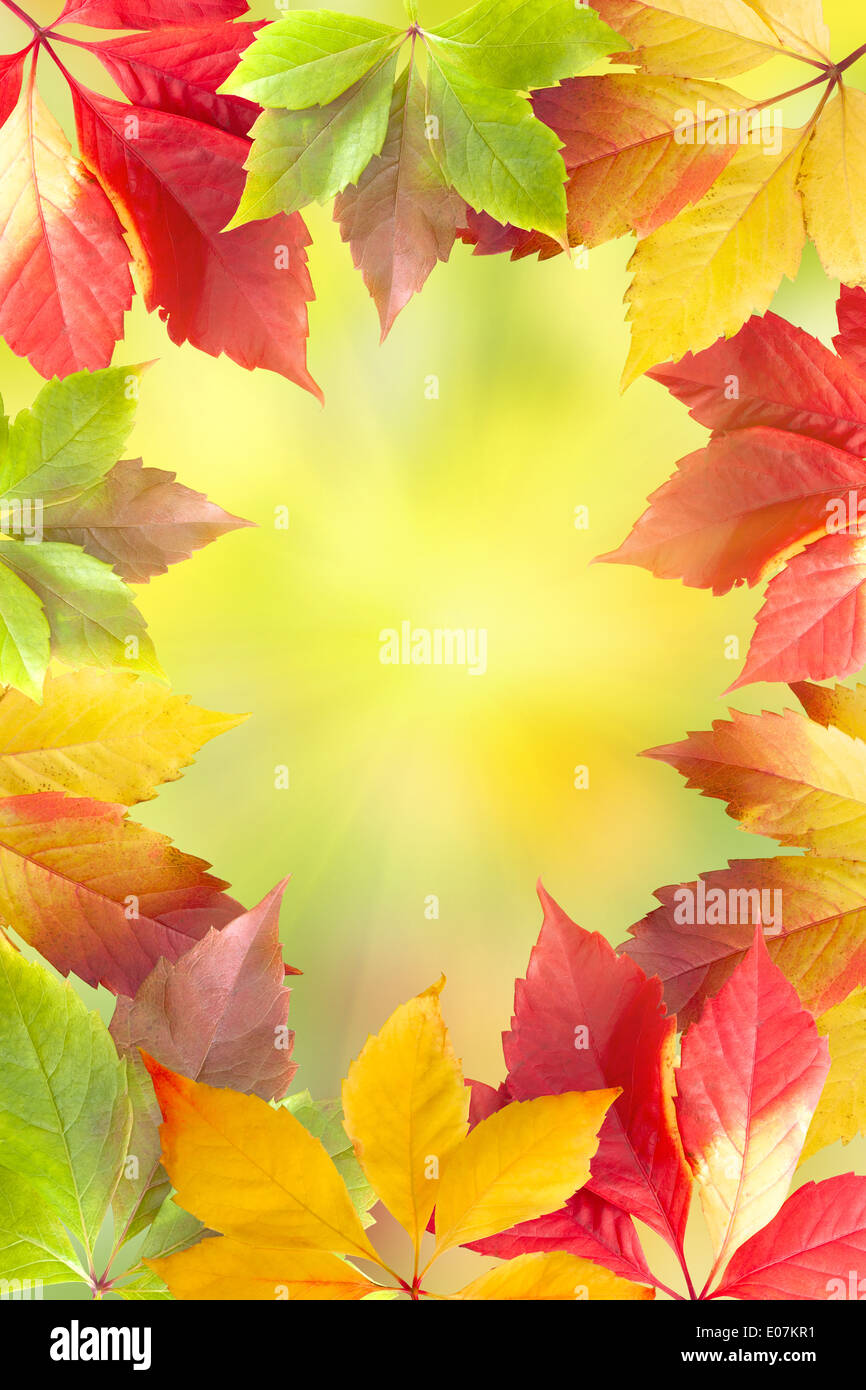 Autumn leaves frame Stock Photo - Alamy