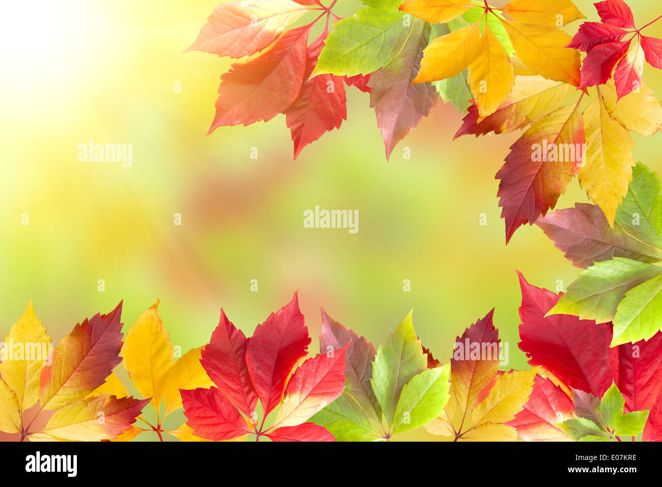 Autumn leaves frame Stock Photo - Alamy
