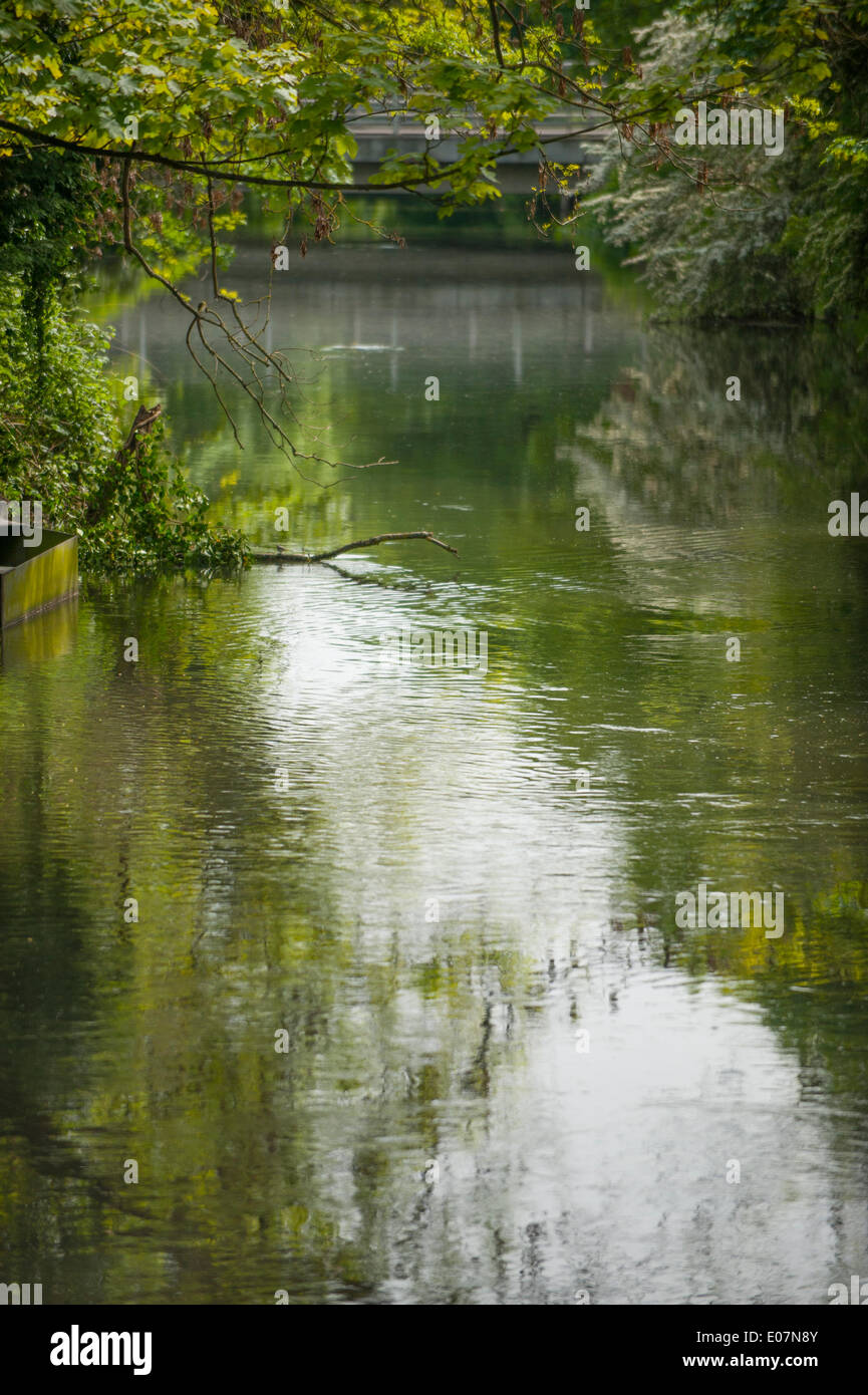 River Wandle, London. 5th May, 2014. Green Spring foliage on the banks ...