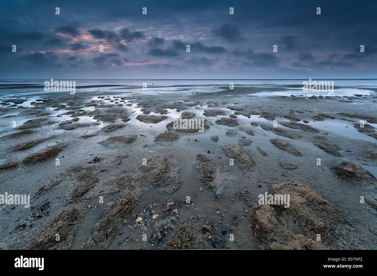 low tide on North sea, Friesland, Netherlands Stock Photo - Alamy