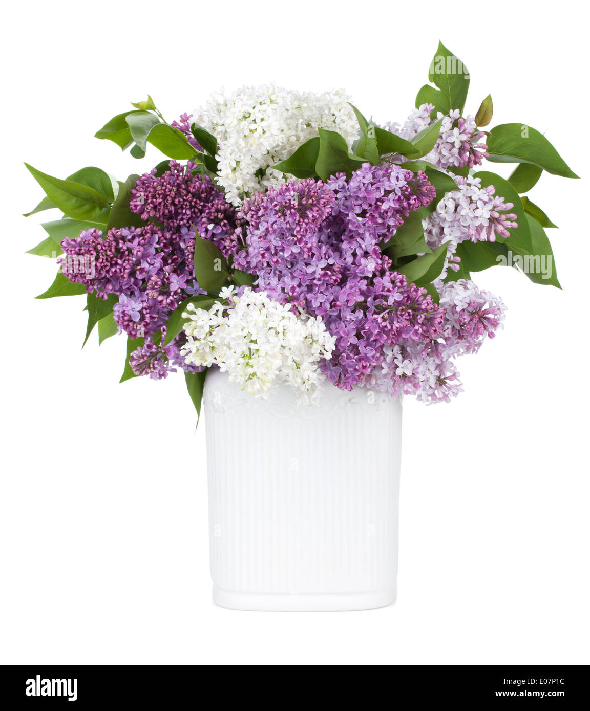 Lilac vase Cut Out Stock Images & Pictures - Alamy
