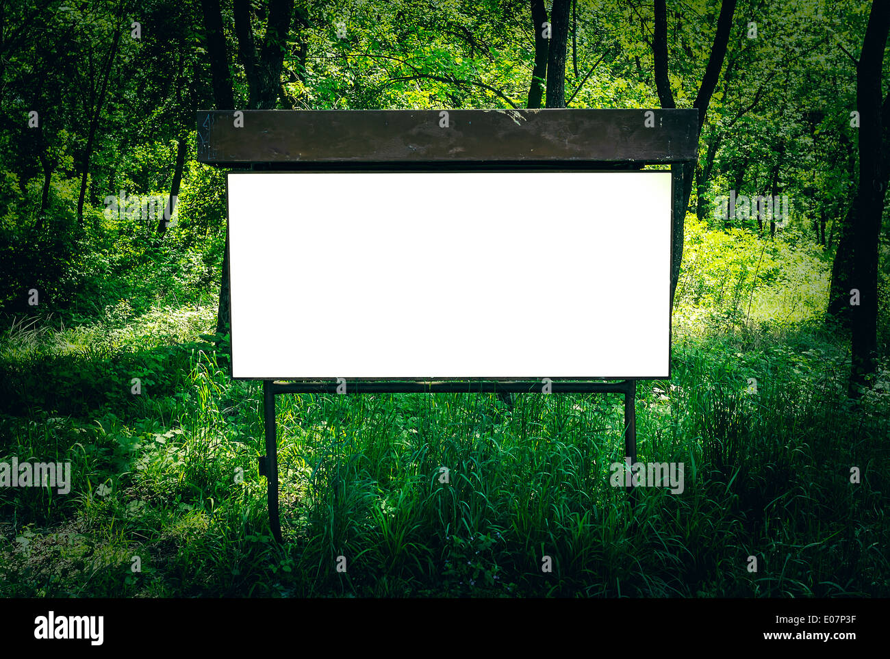 Billboard in the forest, free place for your text or image Stock Photo ...