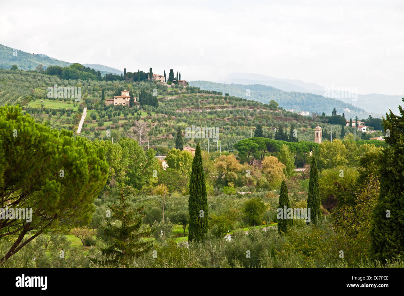 Villas amongst cypress trees on a Tuscan hillside outside Florence ...