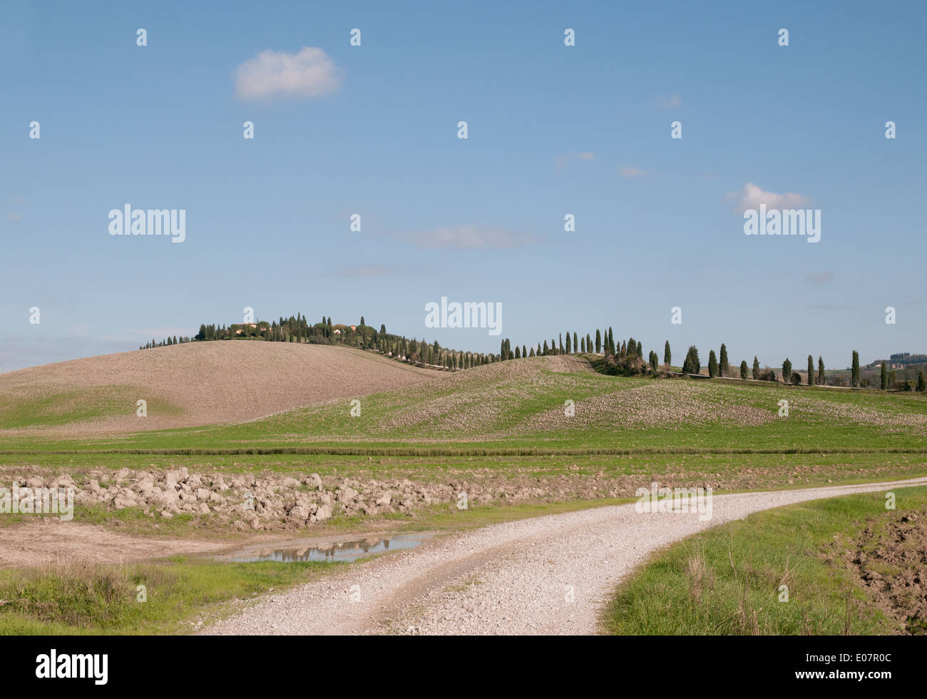Tuscan hills with cypress tree lined road leading to 13th century ...