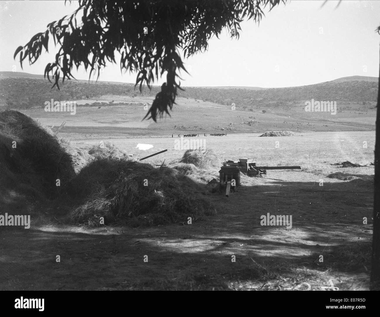African agricultural landscape Black and White Stock Photos & Images ...