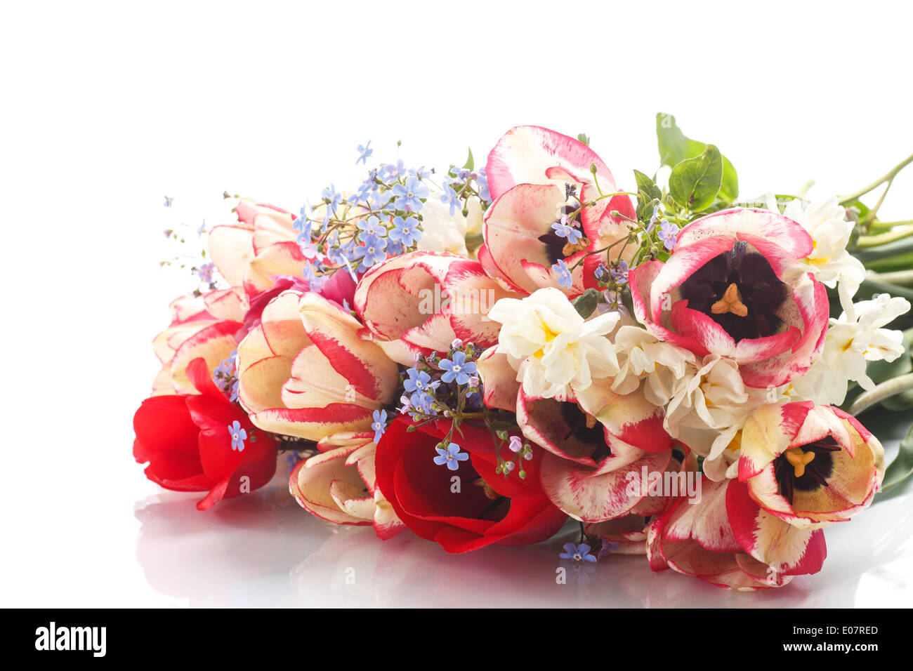 bouquet of spring flowers on a white background Stock Photo - Alamy