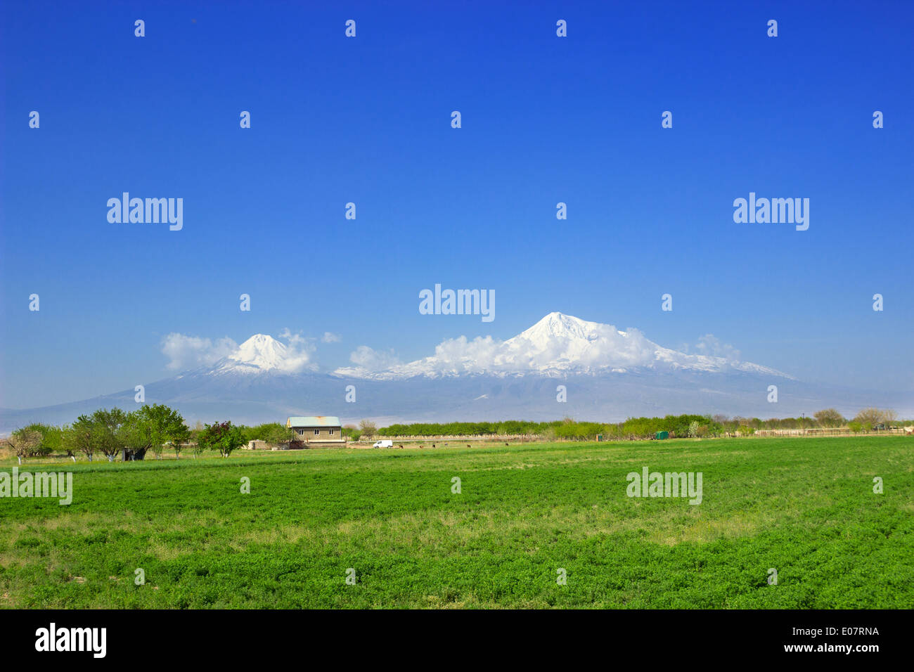 Mountain Ararat view from Ararat valley , Armenia Stock Photo - Alamy