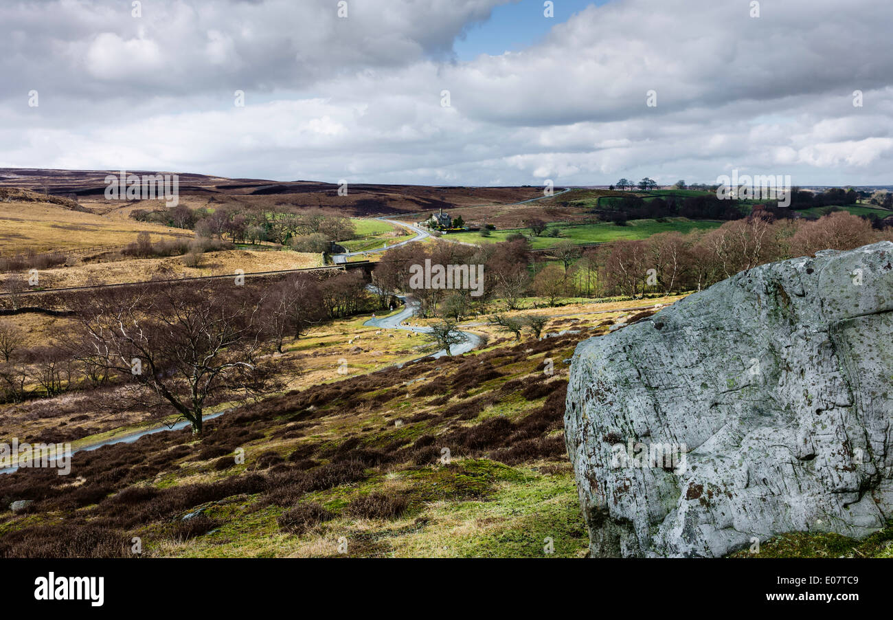 The North York Moors in spring grasses, moss, heather set against an ...