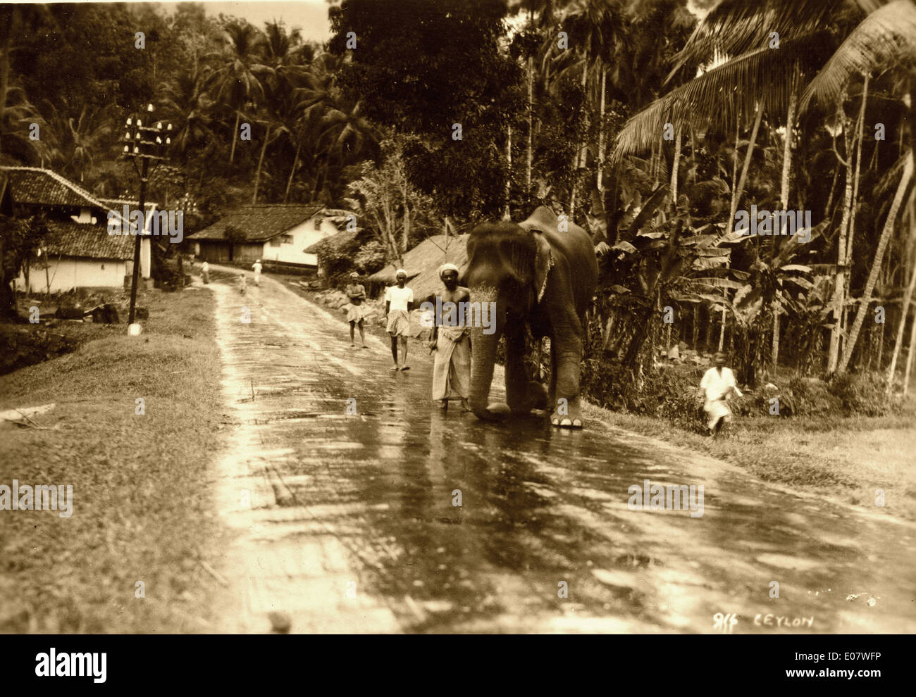 Ceylon (Sri Lanka Stock Photo - Alamy