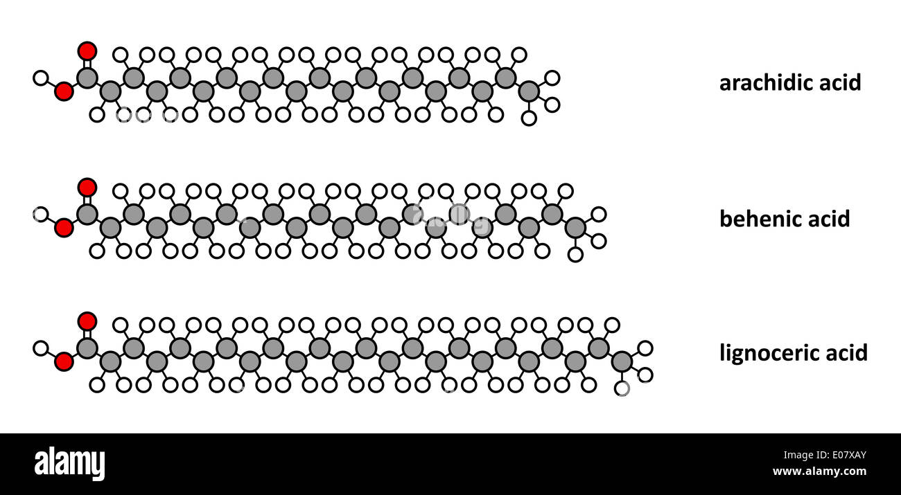 Lignoceric acid hi-res stock photography and images - Alamy