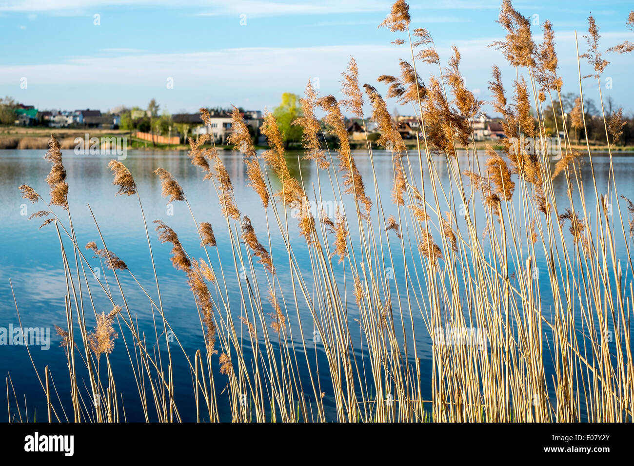 Lubianka lake river Starachowice Swietokrzyskie Poland Stock Photo - Alamy
