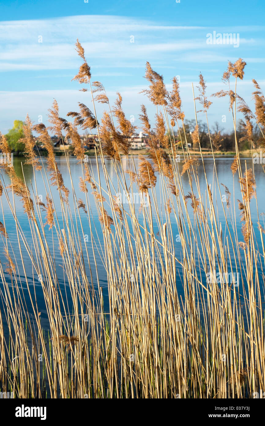 Lubianka hi-res stock photography and images - Alamy