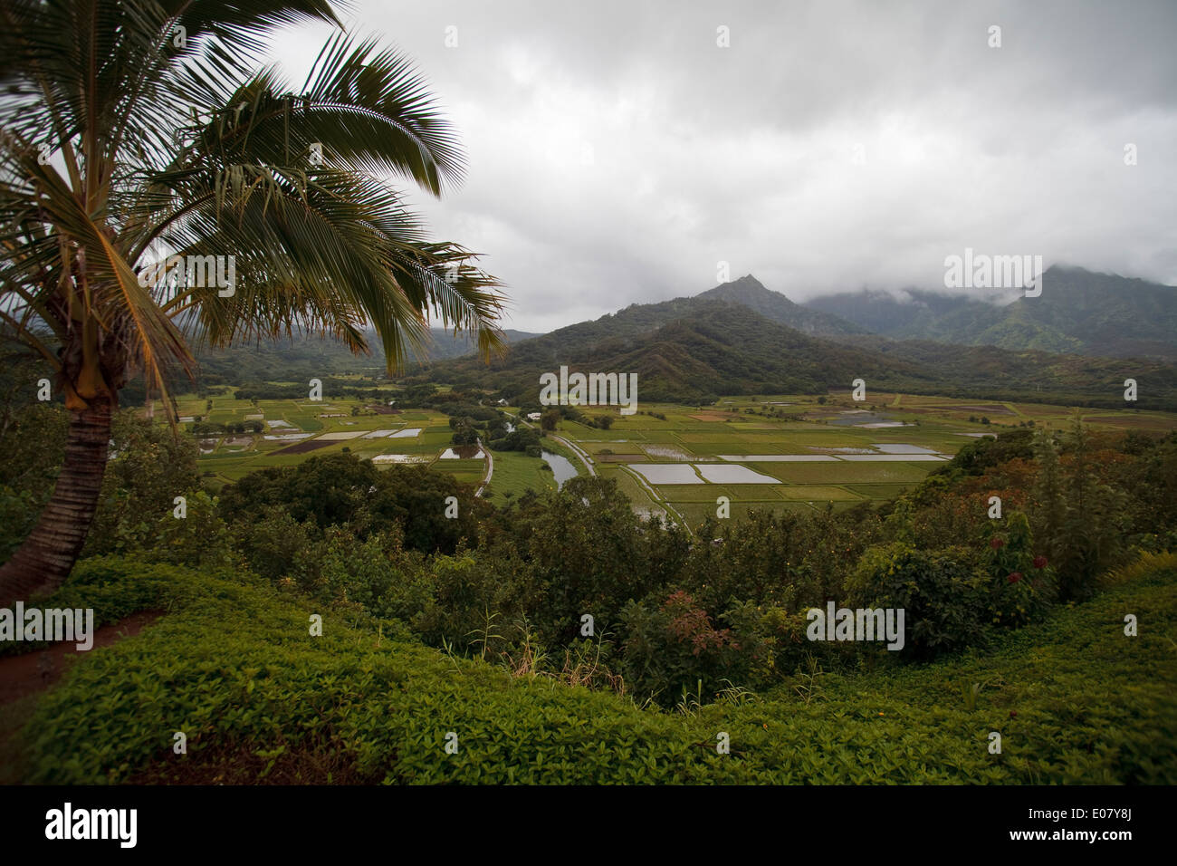 Hawaii agriculture hi-res stock photography and images - Alamy