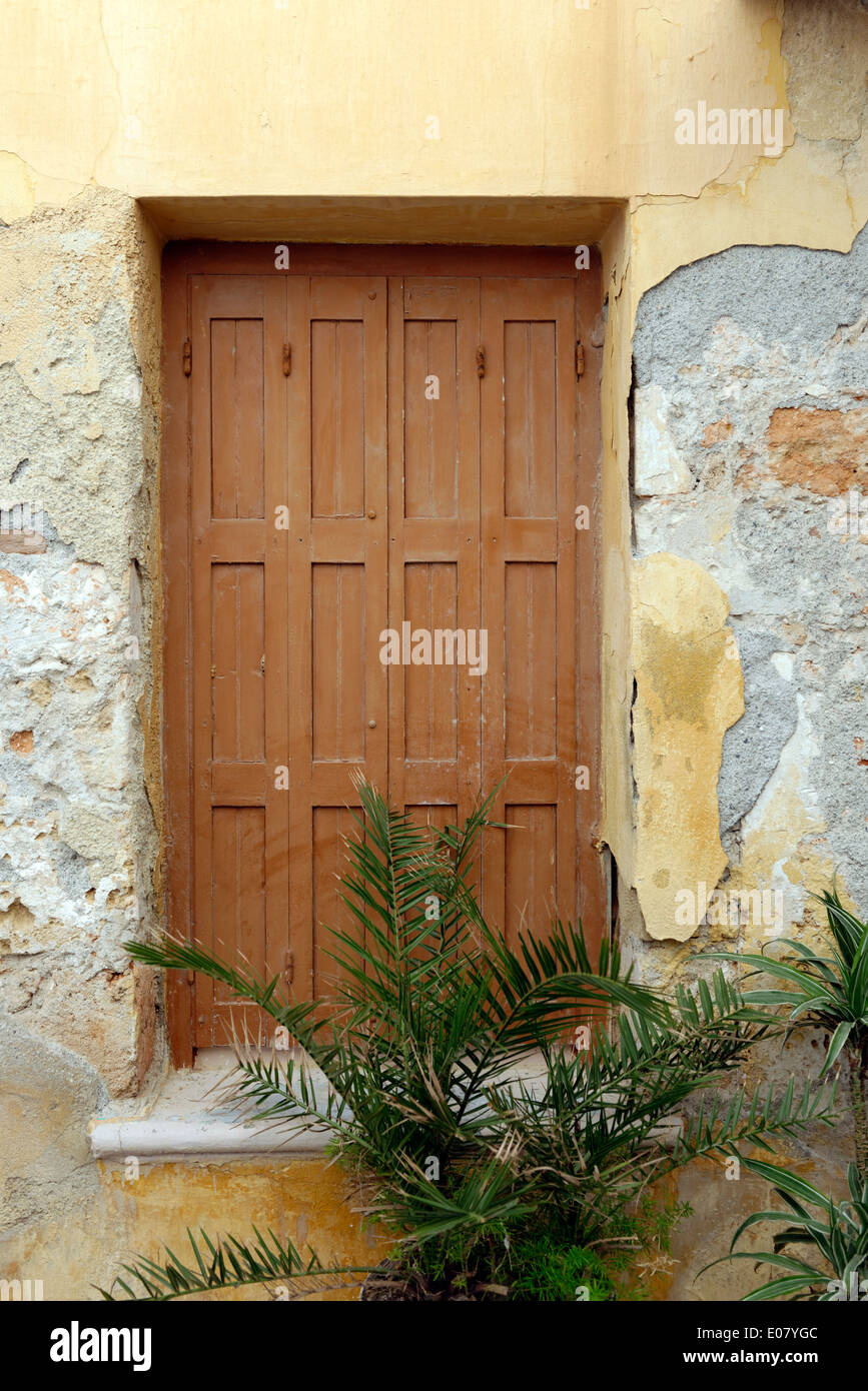 Crumbling yellow wall with wooden door fern plants in front in back ...