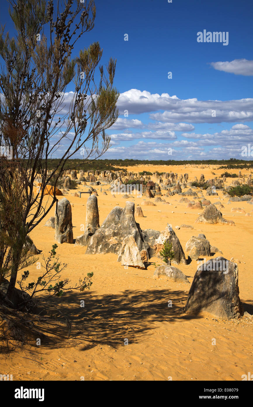 Formation perth hi-res stock photography and images - Alamy