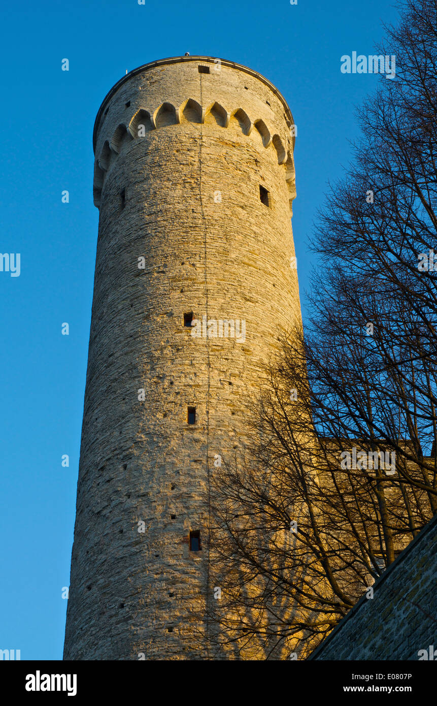 Tallinn Toompea castle Pikk Hermann Tower Stock Photo - Alamy
