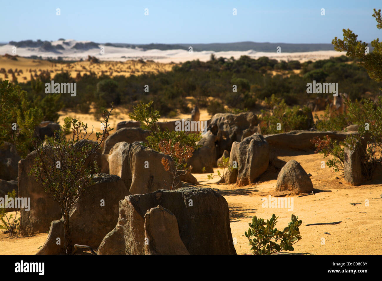 The Pinnacles, Perth, Australia Stock Photo - Alamy