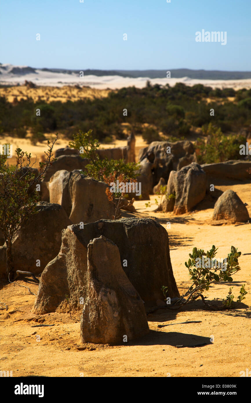 The Pinnacles, Perth, Australia Stock Photo - Alamy