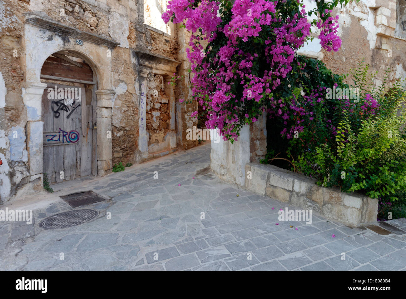 Pink Bougainvillea drapes narrow stone tiled alleyway corner in back ...
