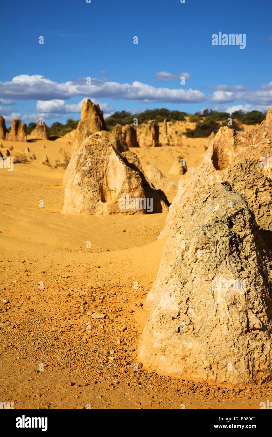 The Pinnacles, Perth, Australia Stock Photo - Alamy