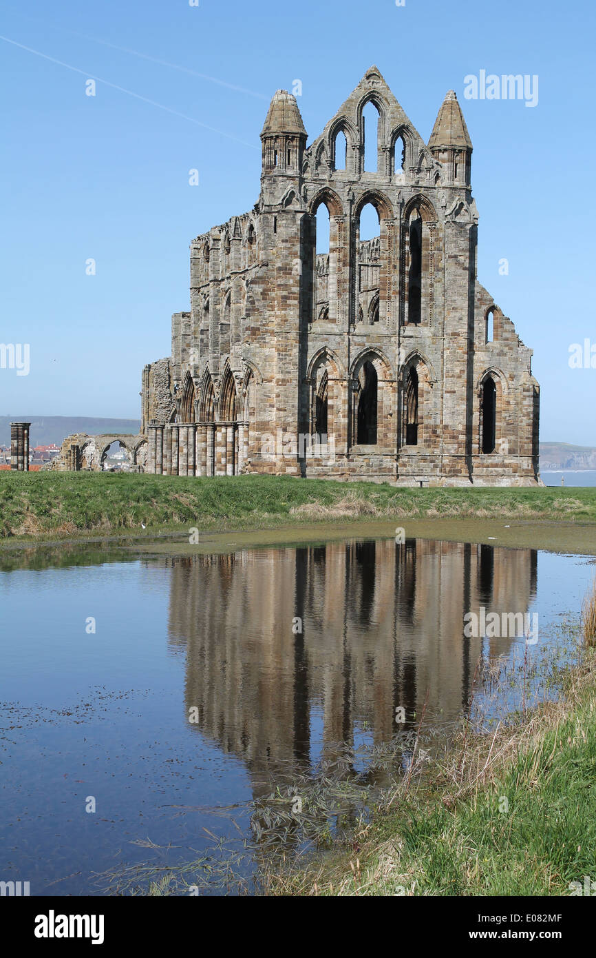 Whitby Abbey ruins and cloudless blue sky reflected in pond Stock Photo ...