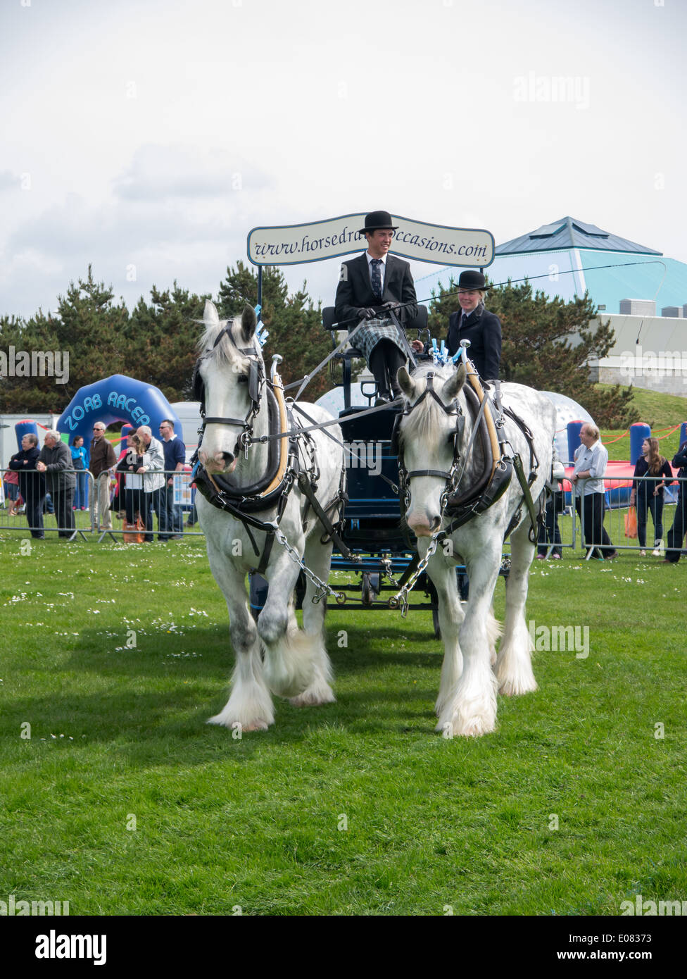 A heavy horse drawn carriage is displayed in an arena at the Southsea ...