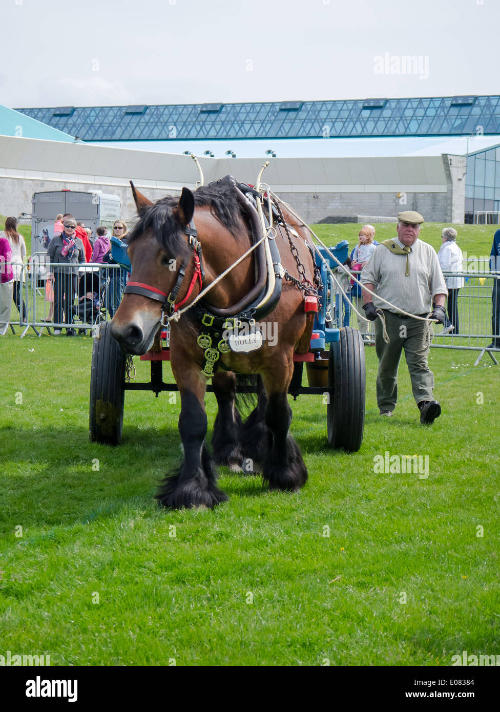 A heavy horse drawn carriage is displayed in an arena at the Southsea ...