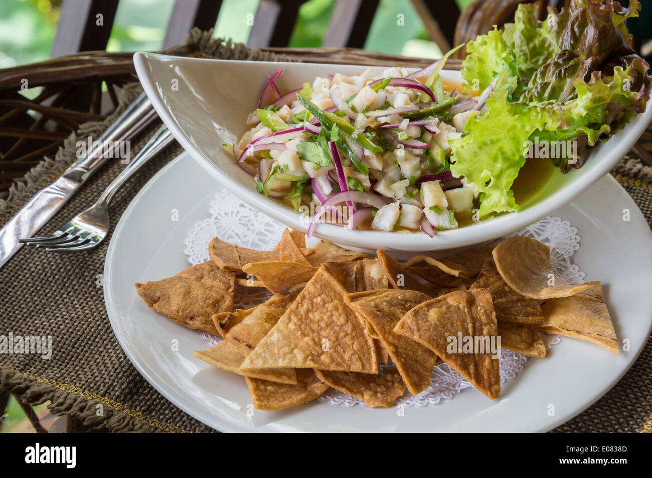 Plate of Ceviche, a popular dish in Central and South America Stock ...