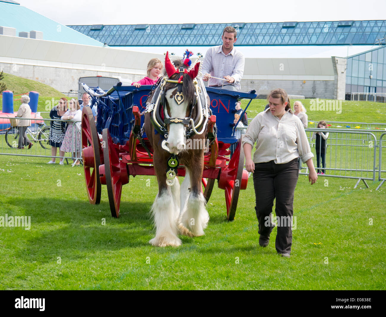 A heavy horse drawn carriage is displayed in an arena at the Southsea ...