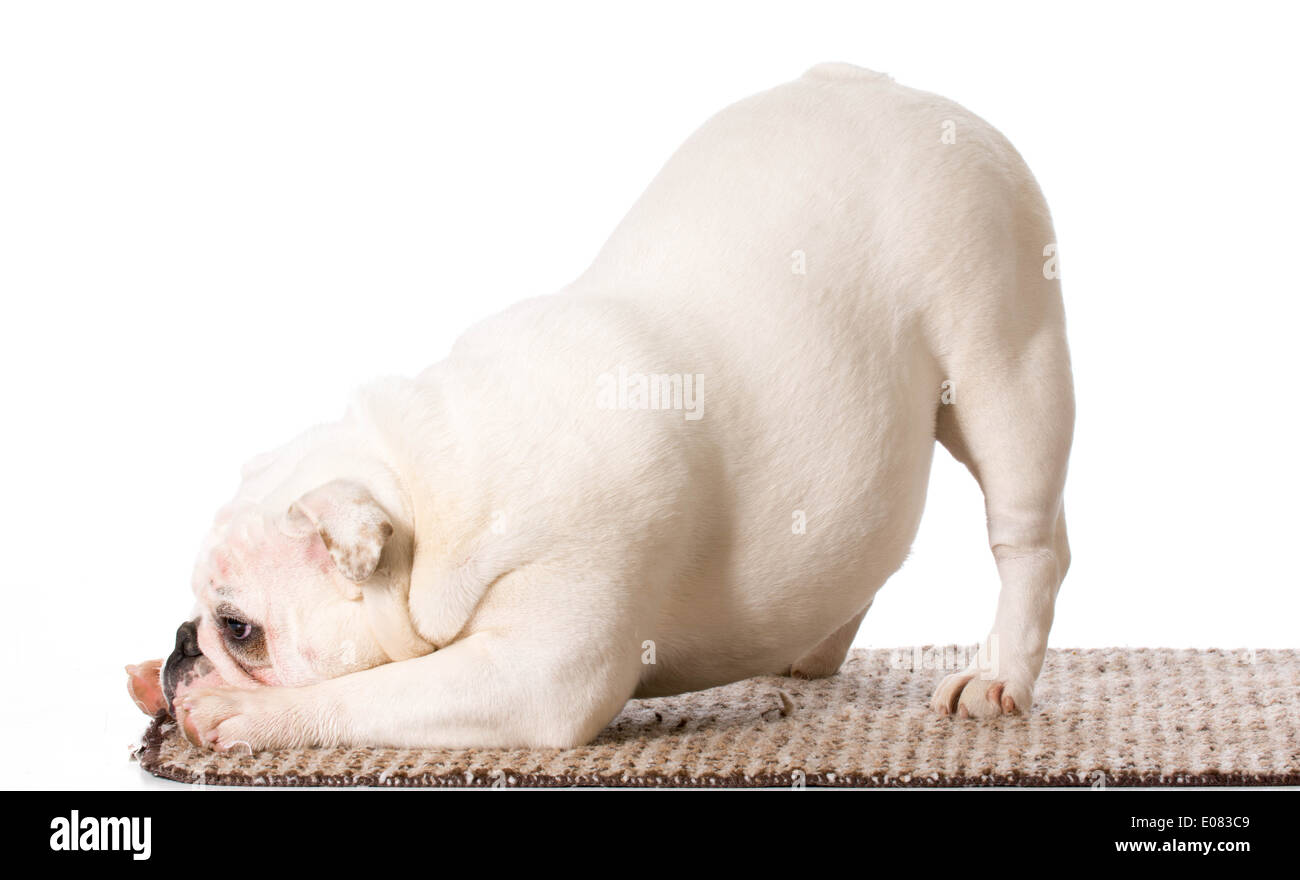 Bowing posture hi-res stock photography and images - Alamy