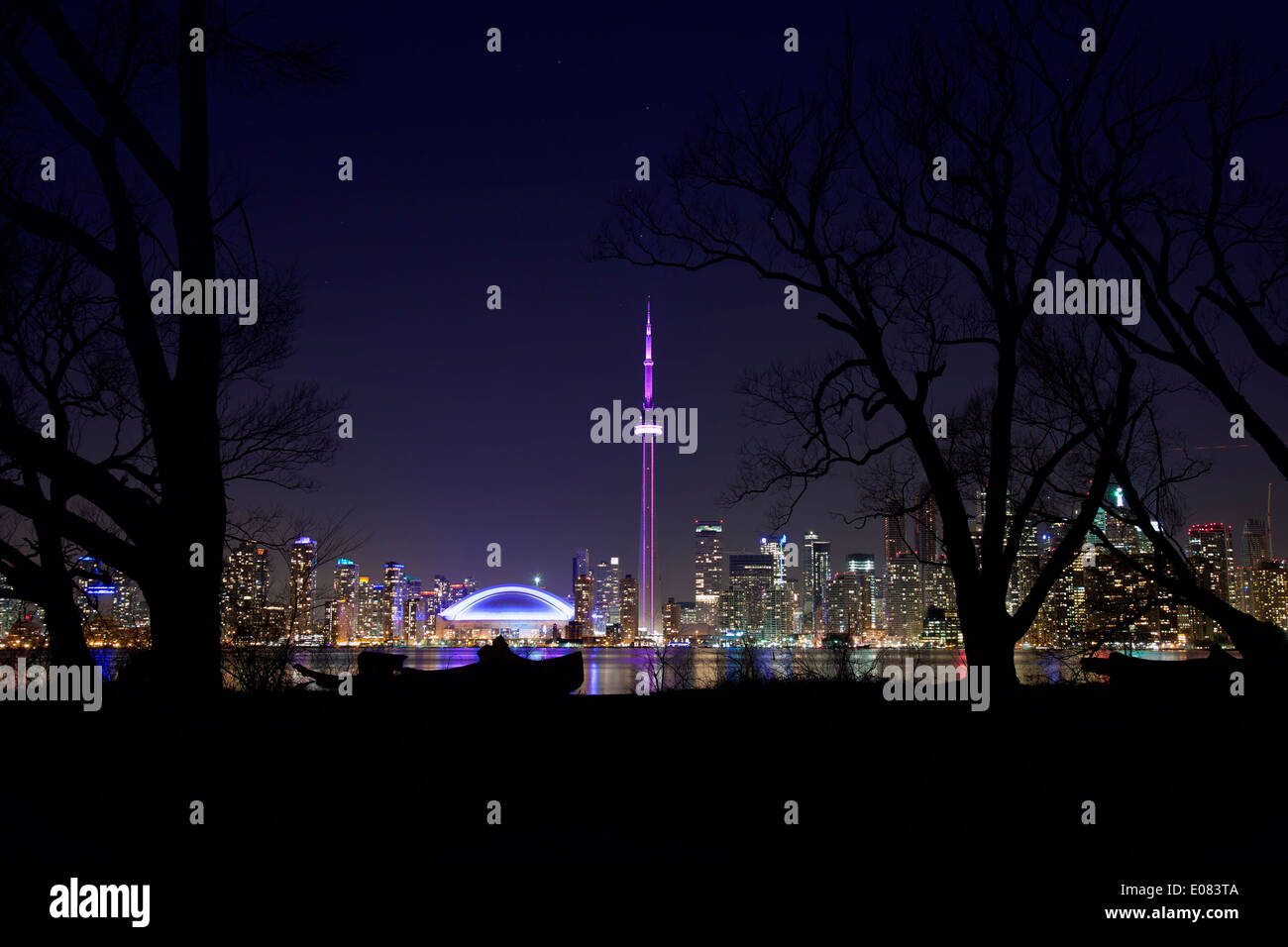 toronto skyline with silhouetted trees in foreground Stock Photo - Alamy