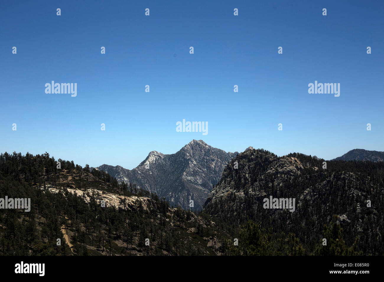 Conifer forests hi-res stock photography and images - Alamy