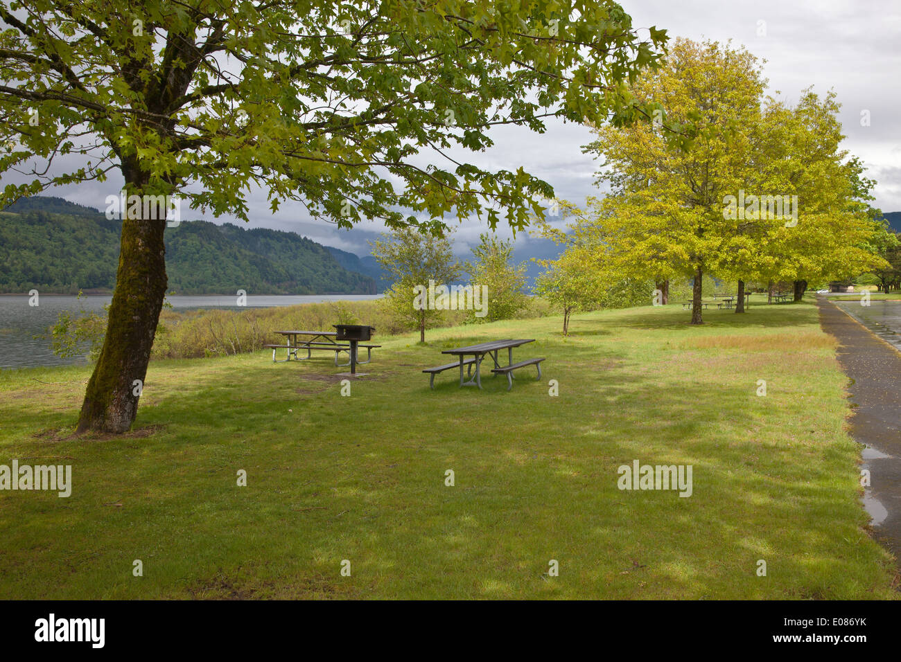 Rooster Rock state park Columbia River Gorge Oregon Stock Photo - Alamy
