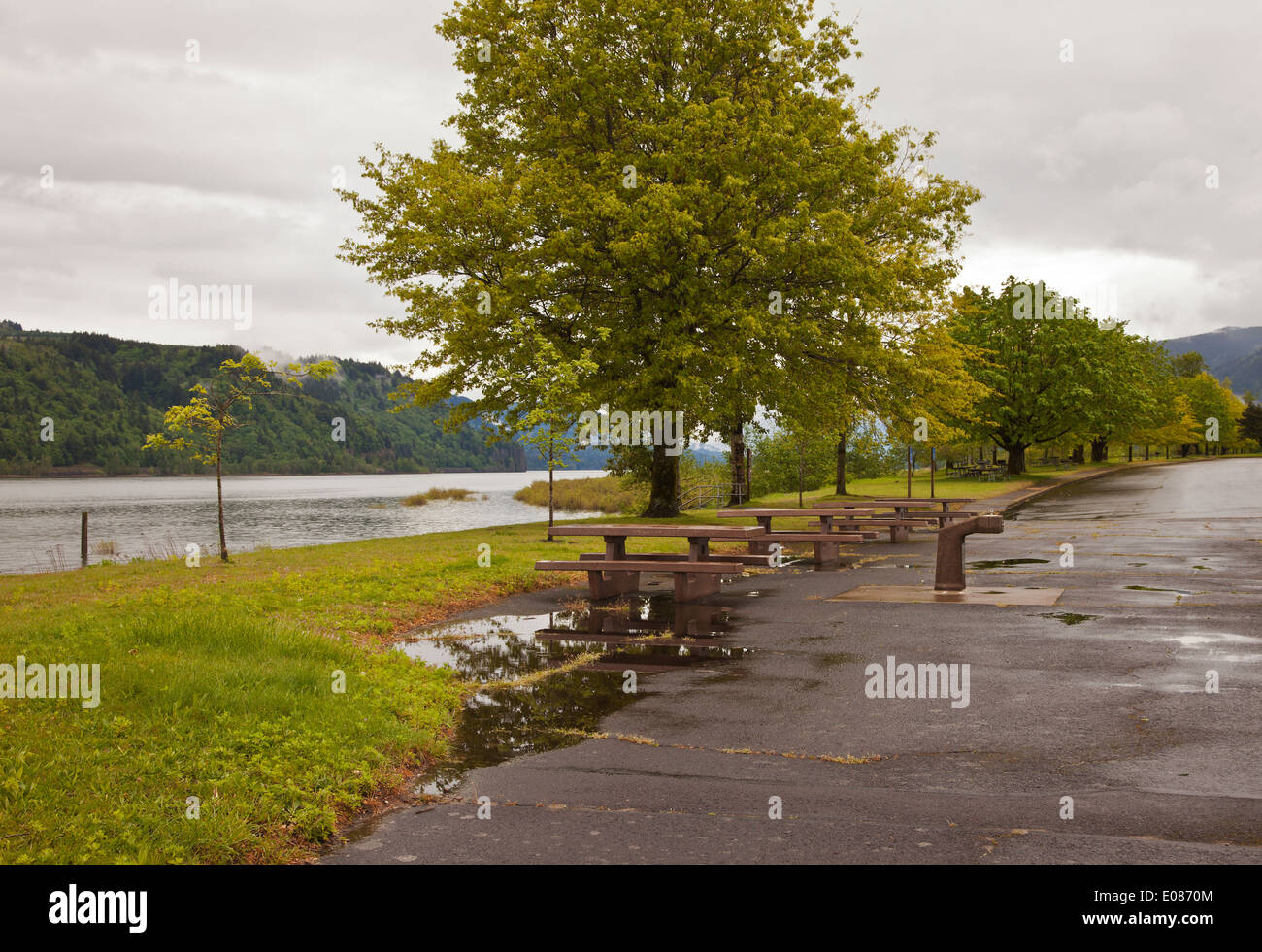 Rooster Rock state park Columbia River Gorge Oregon Stock Photo - Alamy