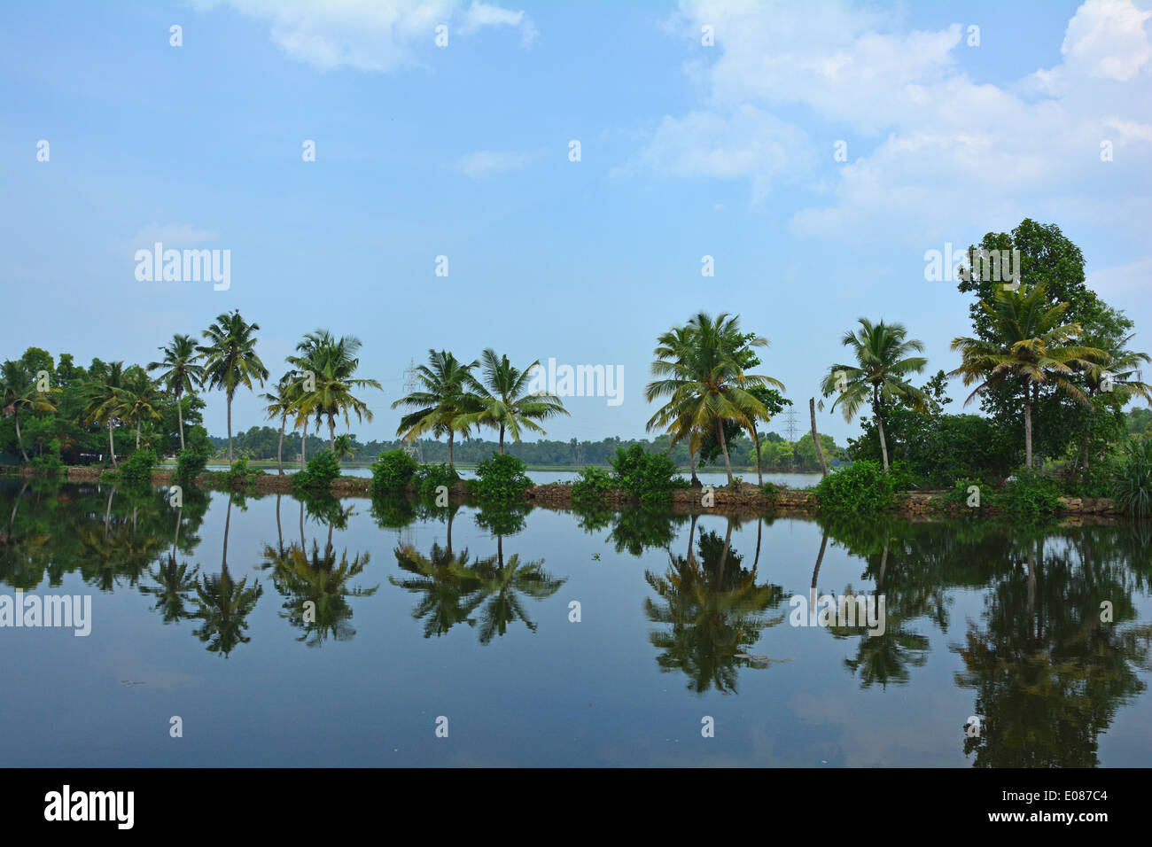 Kuttanad kerala hi-res stock photography and images - Alamy