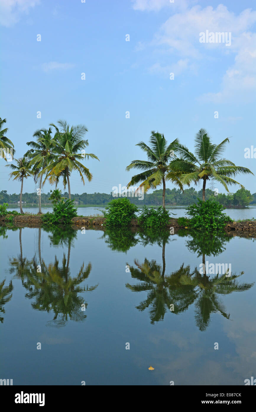 Kuttanad kerala hi-res stock photography and images - Alamy