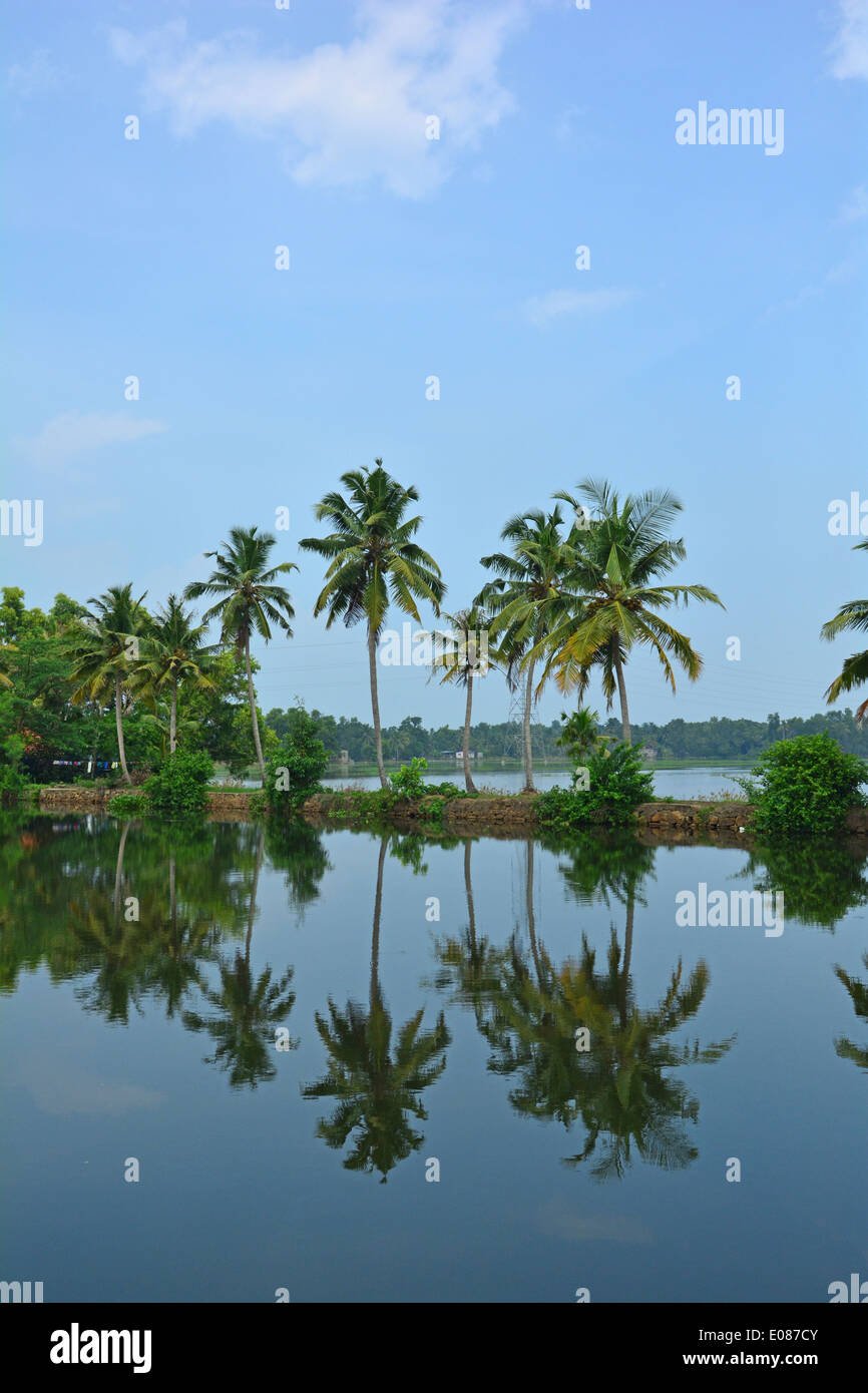 Backwaters, Kuttanad, Alleppey Stock Photo - Alamy