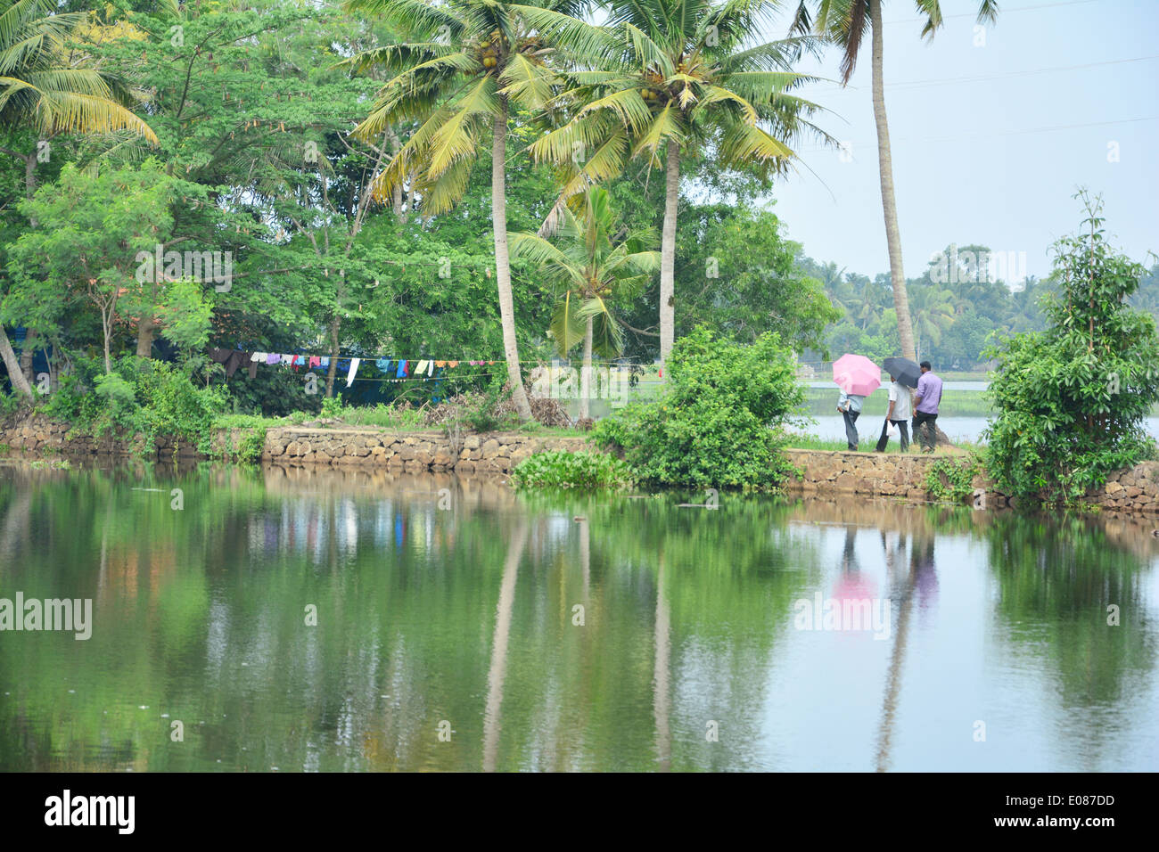 Kuttanad High Resolution Stock Photography and Images - Alamy