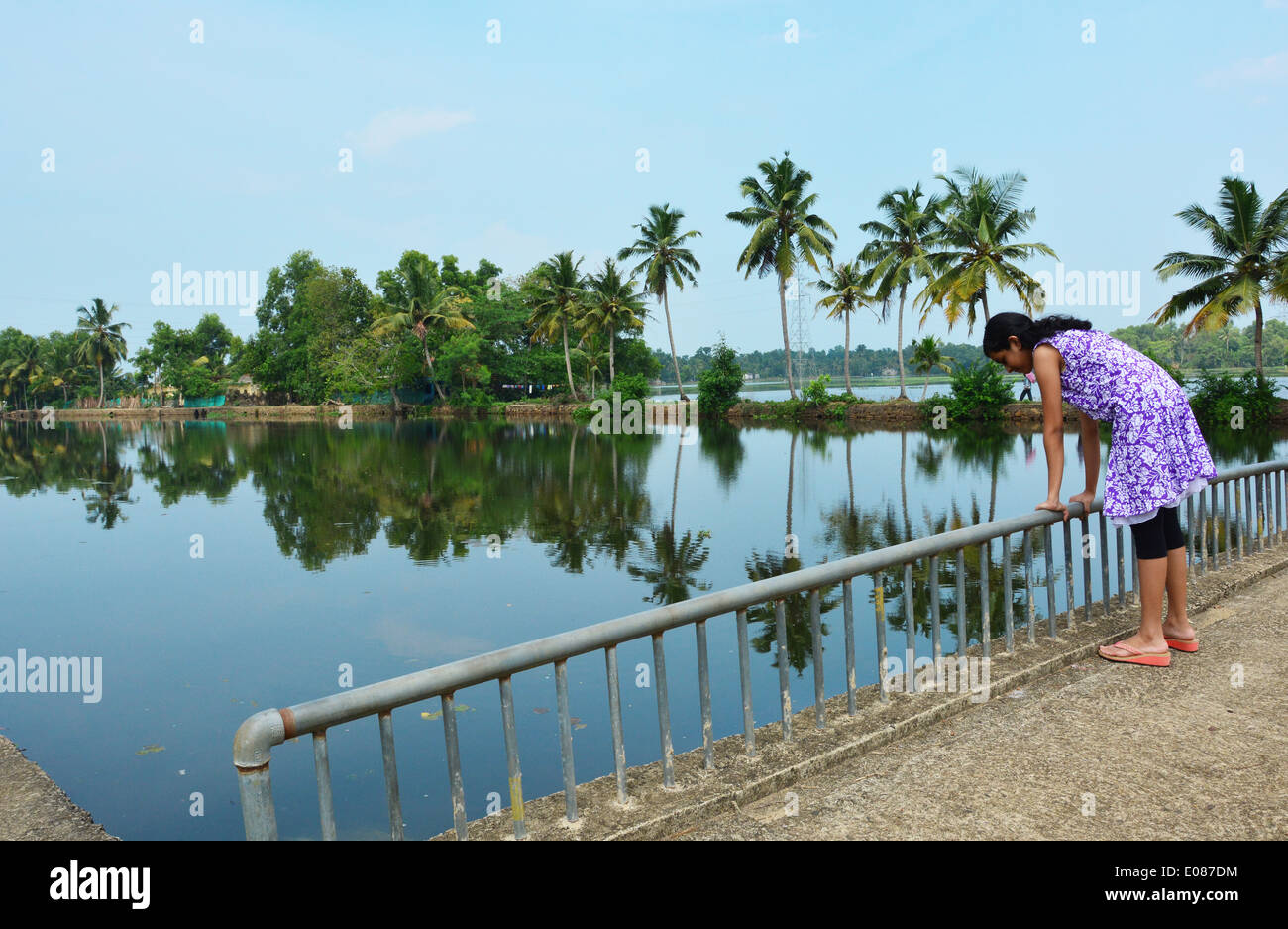 Backwaters, Kuttanad, Alleppey Stock Photo - Alamy