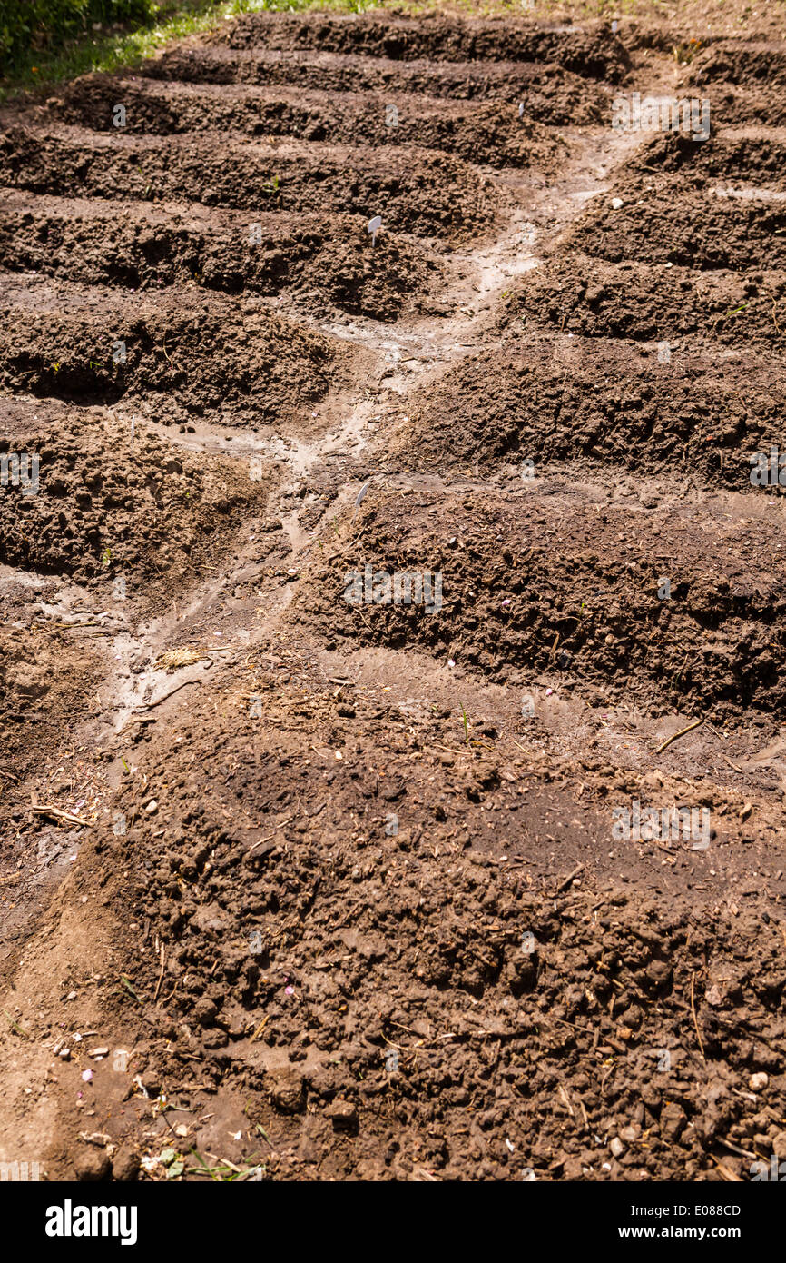 Ridge Planting System High Resolution Stock Photography and Images - Alamy