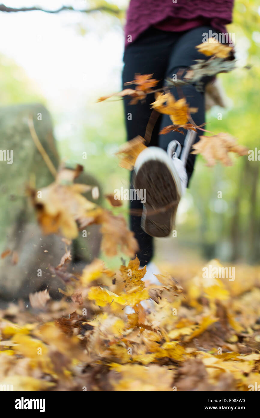 Coloured Plant Leaves Stock Photos & Coloured Plant Leaves Stock Images ...