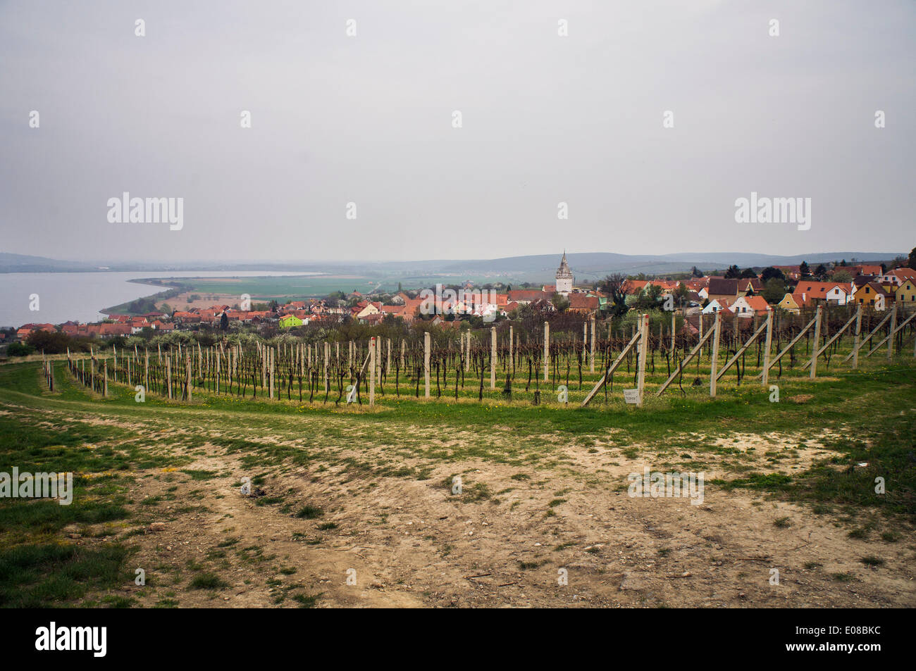 Pavlov, Pollau, village, vineyard, The Palava Landscape Protected Area ...
