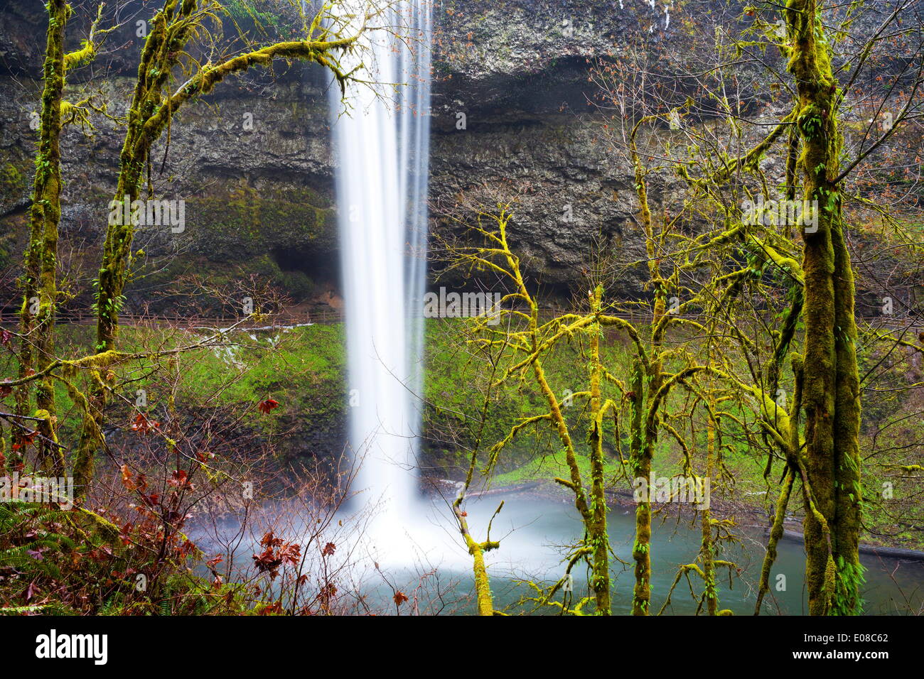 South falls at silver falls state park hi-res stock photography and ...