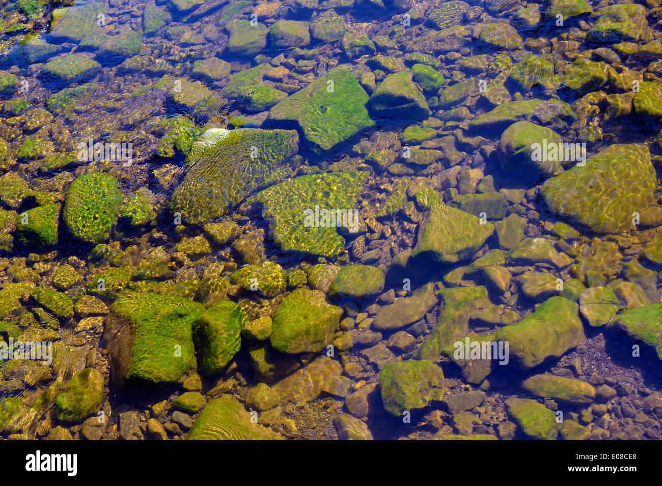 The bed of the River Nent. Alston, Cumbria, England, United Kingdom ...
