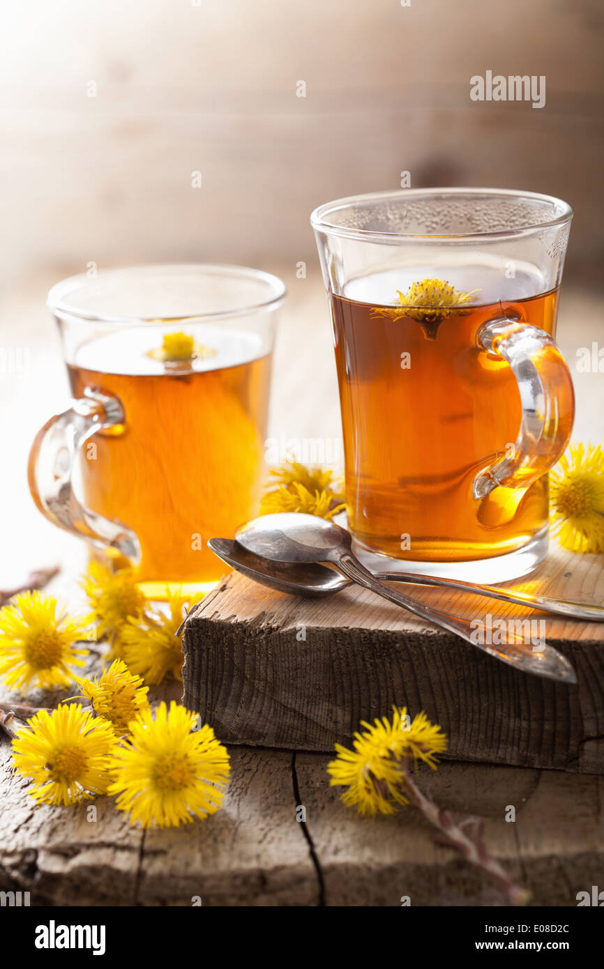 herbal tea with coltsfoot flowers Stock Photo - Alamy
