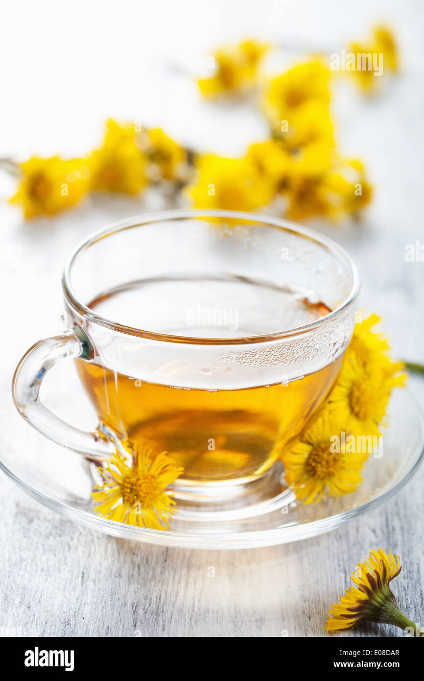 herbal tea with coltsfoot flowers Stock Photo - Alamy