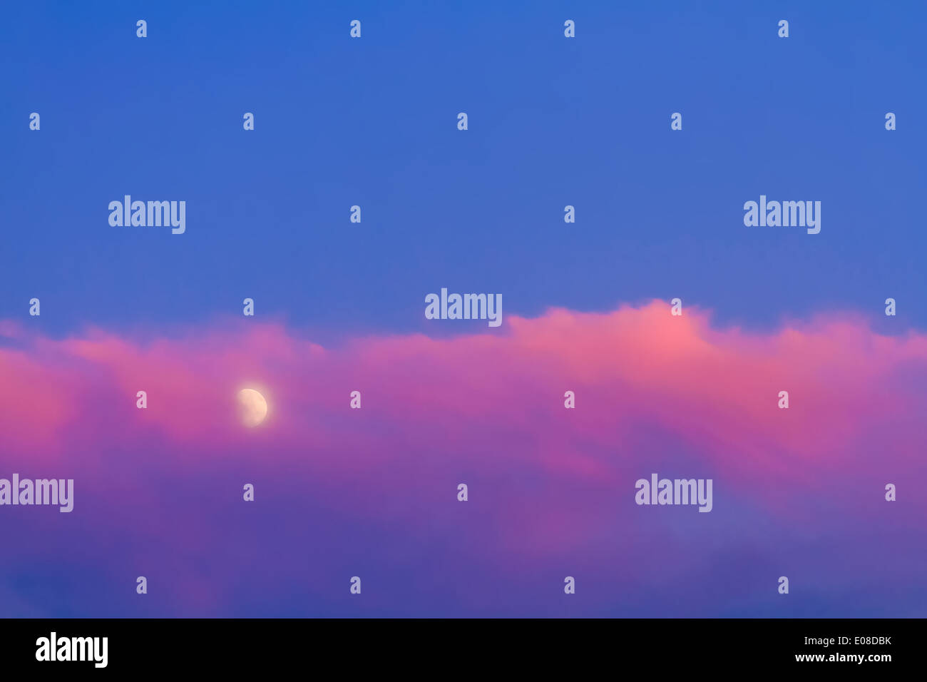 Moon under pink cloud on blue sky background Stock Photo - Alamy