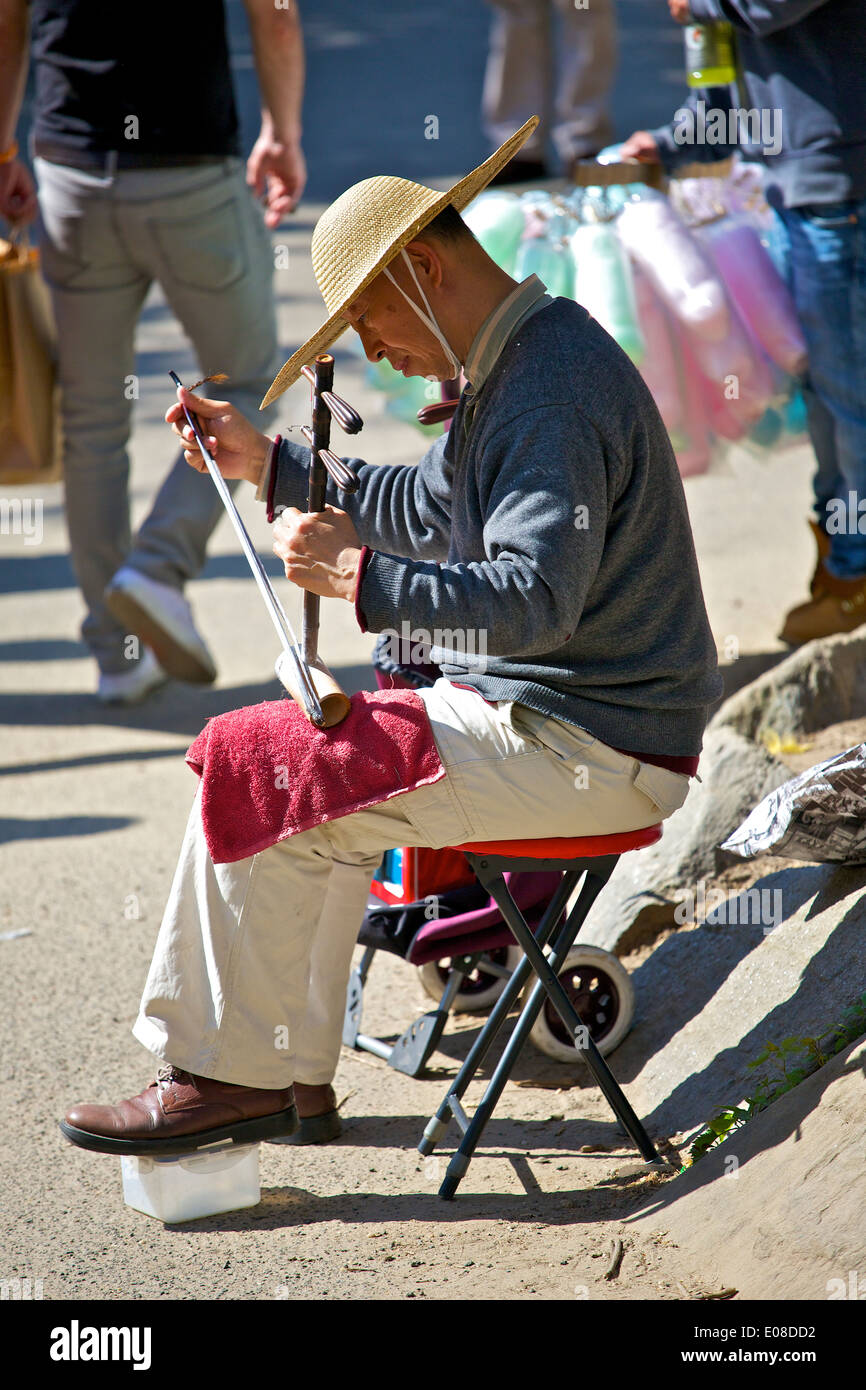 Oriental instrument hi-res stock photography and images - Alamy