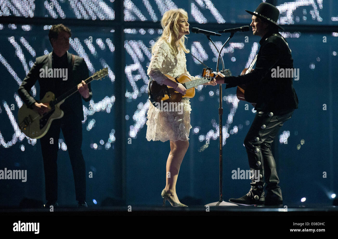 Copenhagen, Denmark. 05th May, 2014. The Common Linnets representing ...